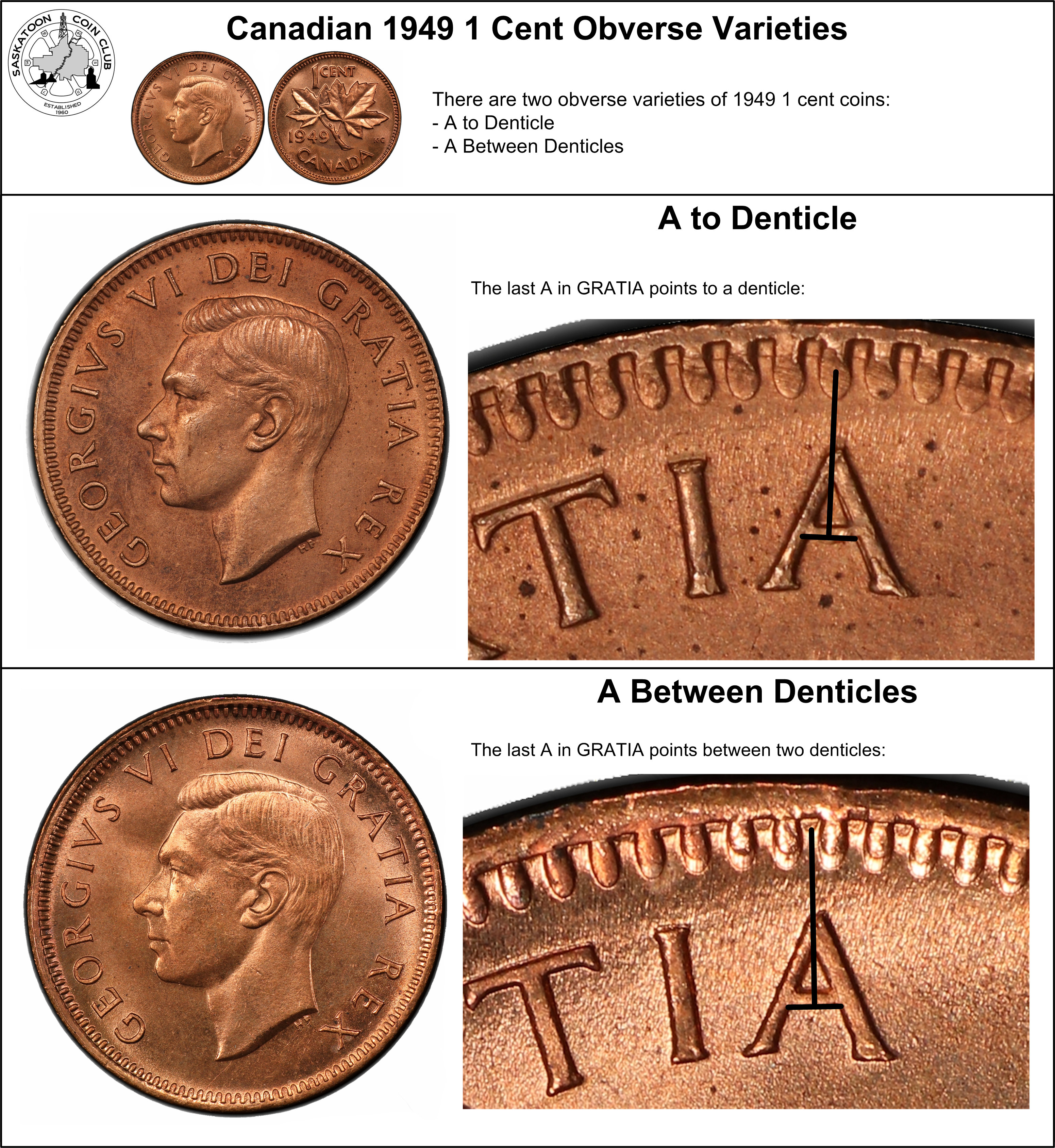 Canadian 1 Cent Coin Major Varieties Canadian 1 Cent Coin Major Varieties